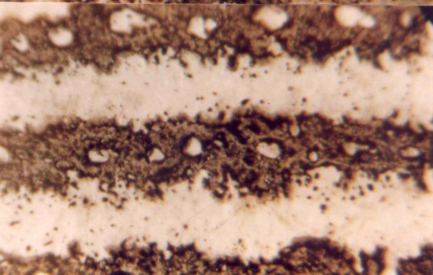 Paper 3: Poroscopy: A Method Of Personal Identification Revisited by ...